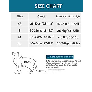 Heywean Cat Harness and Leash - Ultra Light Escape Proof Kitten Collar Cat Walking Jacket with Running Cushioning Soft and Comfortable Suitable for Puppies Rabbits (M, Turquoise)