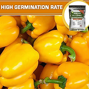 10 Sweet and Hot Pepper Seeds for Gardening Indoors & Outdoors - Non GMO Heirloom Pepper Seeds Variety Pack - Cayenne, Anaheim, California Bell & More