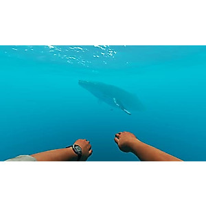 Stranded Deep (Nintendo Switch)