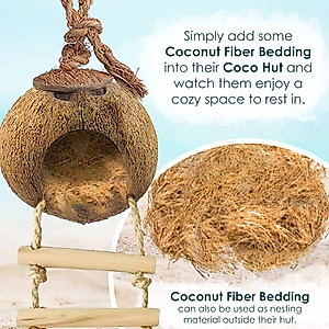 SunGrow Hermit Crab Coconut Hut with Ladder and Bedding, Perfect Mansion for Geckos, Pocket Pets, Small Birds, and Hermit Crabs, 1.5 oz. Bedding Included for Amazing Value