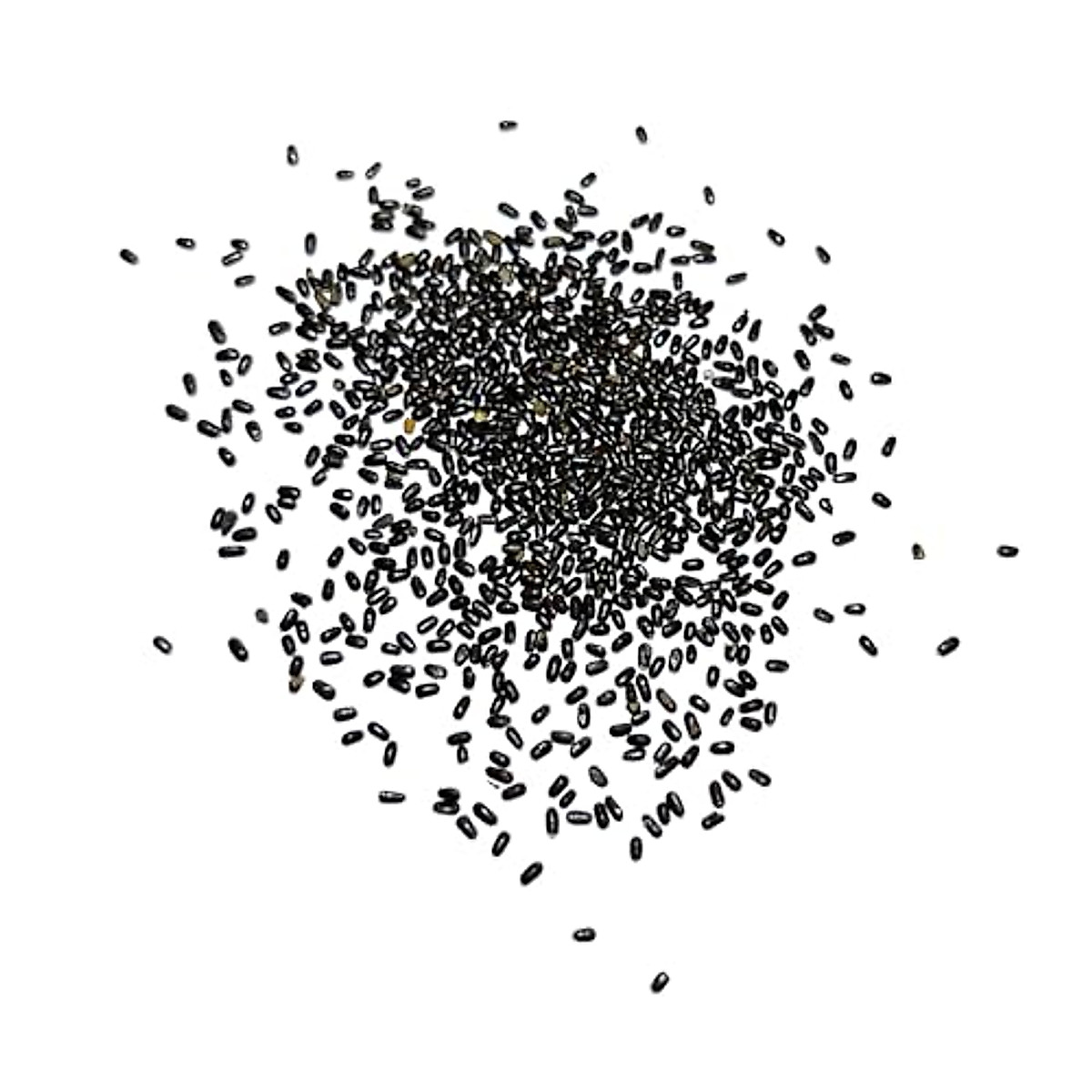 Seed Needs, Blue Hidcote Lavender Seeds - 500 Heirloom Seeds for Planting Lavandula angustifolia - Fragrant Perennial Medicinal Herb for Outdoor Gardens (2 Packs)