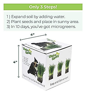 Window Garden Kit Cat Grass for Indoor Cats (3 Pack) - Easy to Grow Kitty Grass Kit, The Purr-FECT Catnip Growing Kit with Planter, Plant Kit Includes Organic Non GMO Wheatgrass Seed and Fiber Soil.