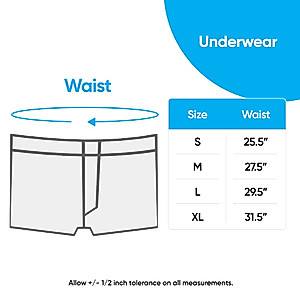 WWE Superstars Mens Boxer Briefs - John Cena, Undertaker, Roman Reigns, The Rock, Stone Cold, Hulk Hogan - Mens 2 Pack Boxer Briefs Underwear (Multi, Medium)