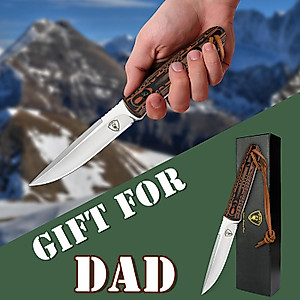 AUBEY Fixed Blade Hunting Knife, 4.52 inch D2 Steel Blade Survival Knife with Leather Sheath Wood Handle, Full Tang Camping Knife for Men Women