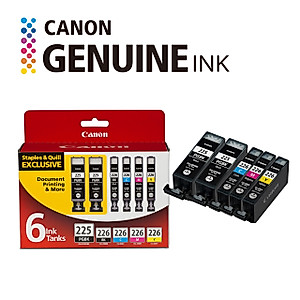 PGI-225/CLI-226 6 Color Value Pack