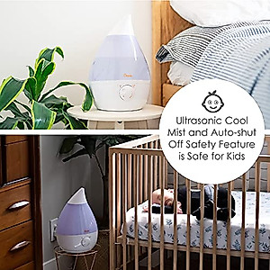 Crane Ultrasonic Cool Mist Humidifier for Bedroom, Baby Nursery, Kids Room, Plants, or Office, Large 1 Gallon Tank, Filter Optional, White