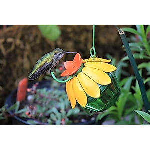 Wild Wings WWSFHF5 So Real Single Flower Hummingbird Feeder, Red/Yellow (2-Pack)