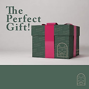 Window Garden Seed Starter Soil Mix - Gardening Starting Soil - Planting Soil for Vegetables, Herbs and Flowers - Ideal Potting Soil, Compressed Discs for Indoor and Outdoor Planting