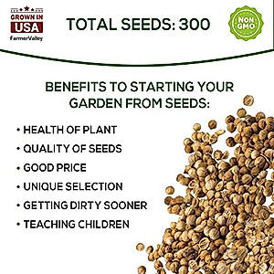 Cilantro Seeds for Planting Home Garden Herbs - Individual Pack of 300+ Heirloom Seeds, Suitable for Outdoors, Indoors, and Hydroponics - Non-GMO, Non-Hybrid, Untreated, and USA Grown Variety
