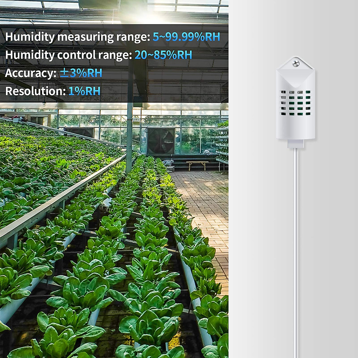Humidity Controller, Briidea Pre Wired Humidistat with LCD Display High Accuracy Humidity Sensor for Greenhouse Mushroom Grow