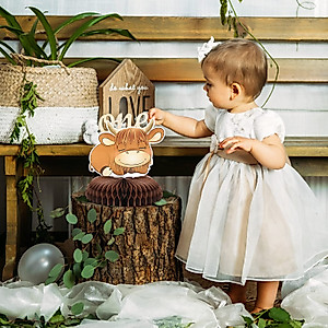 Kosiz 8 Pcs Highland Cow Honeycomb Centerpieces Cow Table Topper Cow Theme Honeycomb Centerpieces for Baby Shower Western Cowboy Kids Birthday Party Decorations