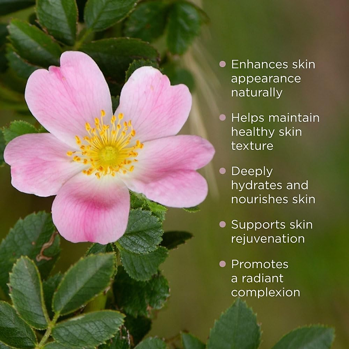 FULL OF NATURE FUNAT 100% Pure Rosehip Seed Oil for face and skin 0.3 fl oz - 100% Puro Aceite de Rosa Mosqueta para rostro y piel