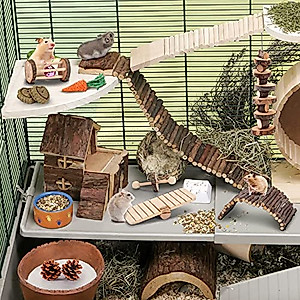 Beyoung 10 Pack Hamster Chew Toys, Small Animal Activity Toys Accessories Molar Teeth Care Natural Apple Wood Ladder Bell Roller for Dwarf Hamsters Rat Guinea Pigs Chinchillas Gerbils Bunnies