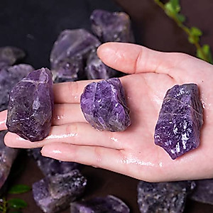 FORBY 1 lb Bulk Amethyst Rough Stones - Large 1" Natural Raw Stones Crystal for Tumbling, Cabbing, Fountain Rocks, Decoration,Polishing, Wire Wrapping, Wicca & Reiki Crystal Healing
