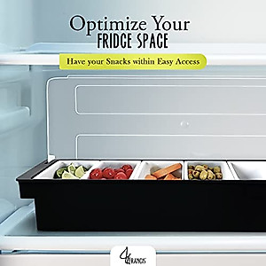 Ice Cooled Condiment Serving Container Chilled Garnish Tray Bar Caddy for Home Work or Restaurant