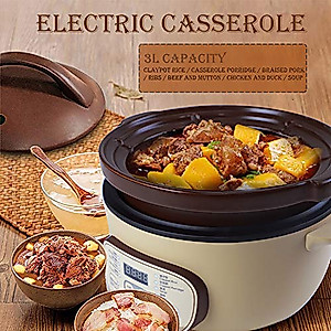 Tianji DSG-TZ30 Electric Clay Pot Slow Cooker for Claypot Rice and Casserole Porridge, Ceramic Casserole Cooking Pot with Unglazed Porcelain, Suitable for Stove, 3L