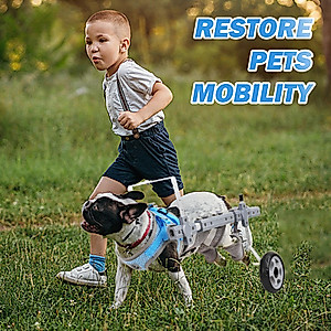 Dog Wheelchair for Back Legs(L), 2024 New Adjustable Dog Wheel Chair, Assist Small Pets with Paralyzed Disabled Hind Limbs Recover Mobility, Pets Cart with Wheels Leg Brace Hip Support(<27.5 LBS)