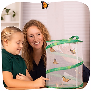 Insect Lore - Butterfly Growing Kit - With Voucher to Redeem Caterpillars Later