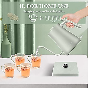 Gooseneck Electric Kettle Fabuletta 1500W Ultra Fast Boiling Water Kettle 100% Stainless Steel for Pour-over Coffee & Tea Leak-Proof Design French Press Boil-Dry Protection 1L Sage Green