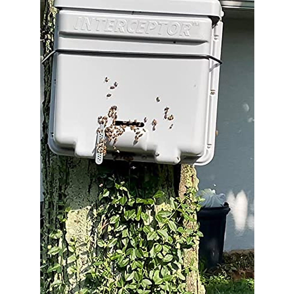 Honeybee Swarm Trap-THE INTERCEPTOR PRO Complete Kit ASSEMBLED With Frames, Foundation, Lure & REAL Beeswax Coating (also includes tree strap & hooks)