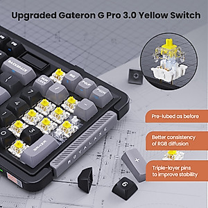 ROYALAXE L98 Wireless Mechanical Keyboard with 1.14” TFT LCD, Hot-swappable RGB Keyboard with Gateron G Yellow Pro Switches, Bluetooth/2.4G/Wired, Gasket Mount, PBT Keycaps, Charcoal Gray