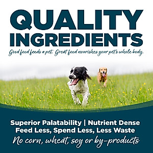 NutriSource Adult Dry Dog Food, Small Bites, Chicken and Rice, 12LB
