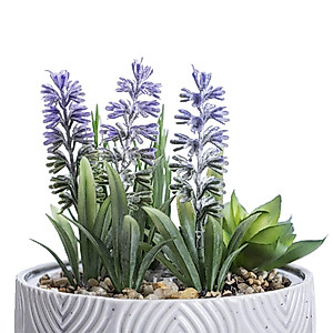 Artificial Succulent Plants Potted Diffusers for Essential Oils with 7 Colors LED Light,Ceramic Cool Mist Super Quiet Aromatherapy Diffuser for Home Office Room