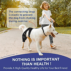 Dog Knee Brace Adjustable for Torn ACL and Hip Dysplasia - Supports Large and Small Dogs with CCL, Ligament Injuries, Osteoarthritis Relief, Enhances Mobility and Recovery (Large)