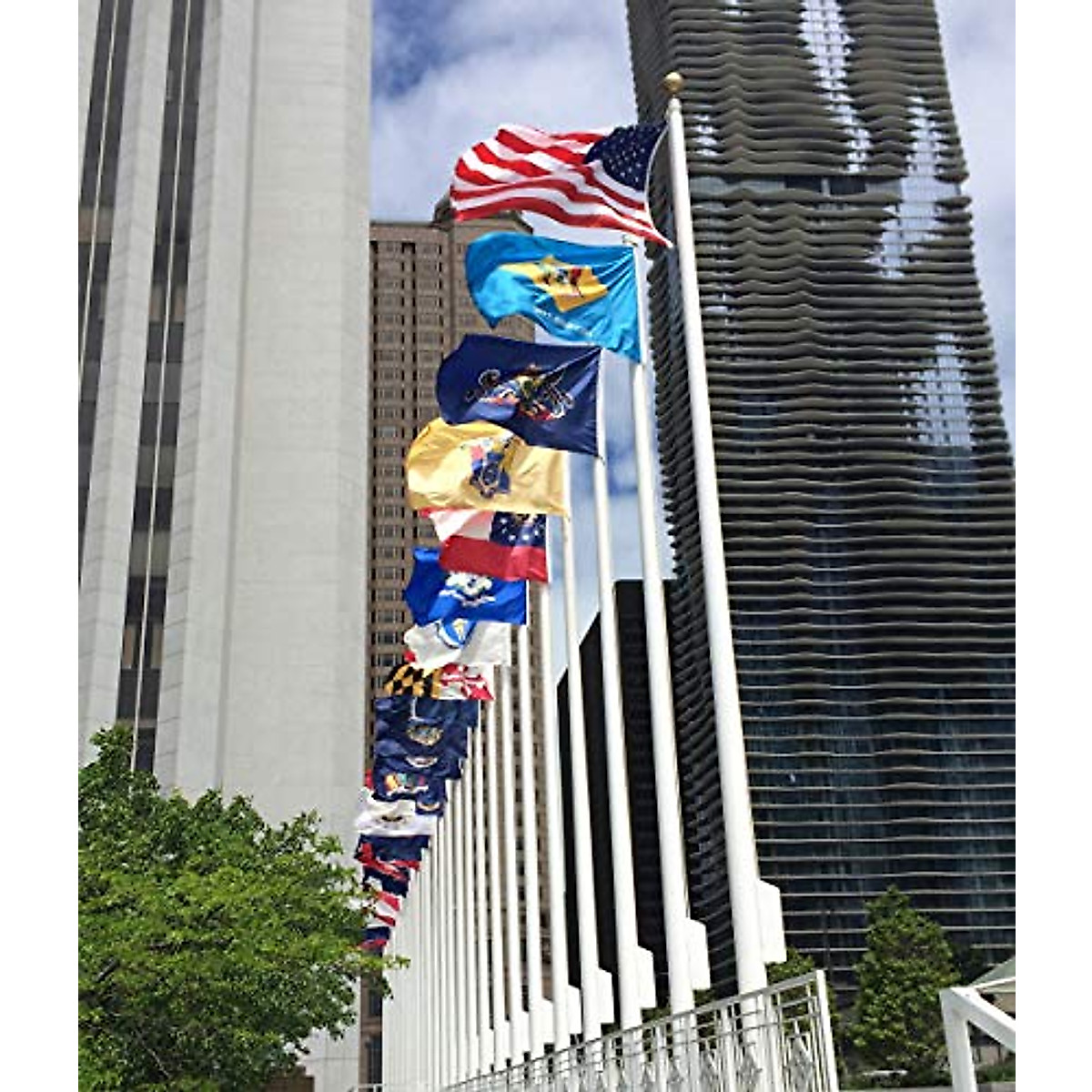 Annin Flagmakers Illinois State Flag USA-Made to Official State Design Specifications, 5 x 8 Feet (Model 141480)