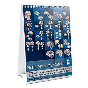 Brain Flip Charts