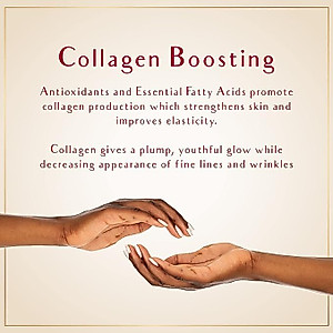 SAFA Rosé Oil - Organic Oil for Face, Body, Hair, Nails & Aromatherapy | Bulgarian Rose Essential Oil & Organic Floating Rose Petals | Moisturizer for Women & Men - 4 Fl Oz (1)