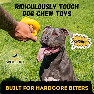 WoofBite Indestructible Ring Ball - Lifetime Replacement - for Aggressive Chewers, Medium Large Breed - Non-Toxic Natural Rubber Dog Toys - Butter Scent, Yellow (Highly Visible Color for Dogs) - 4.5”