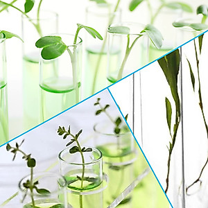 50 Pcs Test Tubes with Test Tube Rack 16x100mm (10ml) Plastic Test Tubes with Caps for Scientific Experiments Party Decoration Liquid Storage Candy Storage