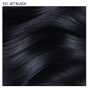 Adore Semi Permanent Hair Color - Vegan and Cruelty-Free Black Hair Dye - 4 Fl Oz - 121 Jet Black (Pack of 2)