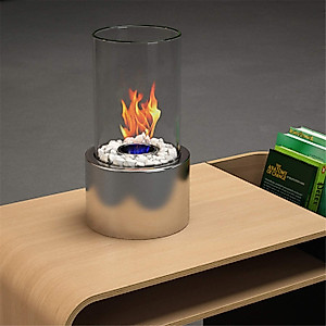 Regal Flame Eden Ventless Tabletop Portable Bio Ethanol Fireplace in Stainless Steel