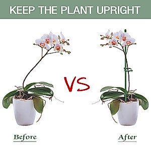 MIALEXO Plant Stakes,Plant Support Stakes Suitable for Indoor and Outdoor Plants,19Pcs Green Plant Stick Support Potted Tomato Peony Lily Rose and Other Plants Floral Vegetable(17.6-18inches)