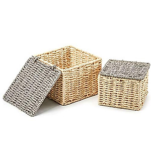 EZOWare Pack of 4 Paper Rope Wicker Storage Baskets with Lid, Lidded Woven Braided Organizer Cube Bins Boxes for Baby Kids Toy Nursery Room Home Closet - Beige and Gray