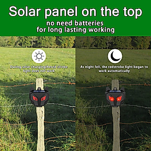 4 Pack Solar Nocturnal Animal Repeller Outdoor, Predator Deterrent with Red Lights, Waterproof Wild Animals Dog Repellent for Chicken Coop, Cat, Skunk, Wolf, Deer, Coyote, Fox, Raccoon