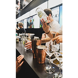 Liquor Pour Spout Set Stainless Steel Bottle Spouts and Liquor Pourer Dust Cap Covers 7+7 Pcs Speed Pour Top for Bottles