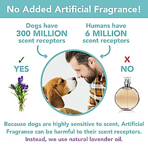 VET-VIRTUE Fragrance Free Ear Wipes for Dogs