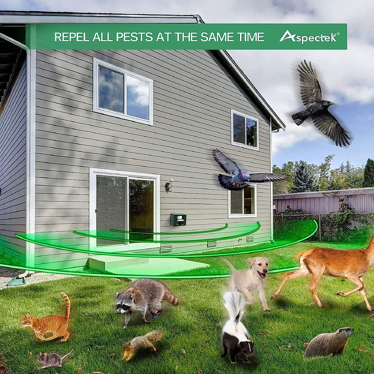 ASPECTEK Yard Sentinel Outdoor Ultrasonic Animal Repeller with Motion Sensor, Adjustable Volume, Waterproof, Extension Cord, Powerful Repel for Squirrel, Raccoon, Skunk, Rabbit, Fox, Deer, Etc