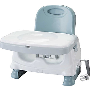 Fisher-Price Healthy Care Deluxe Booster Seat