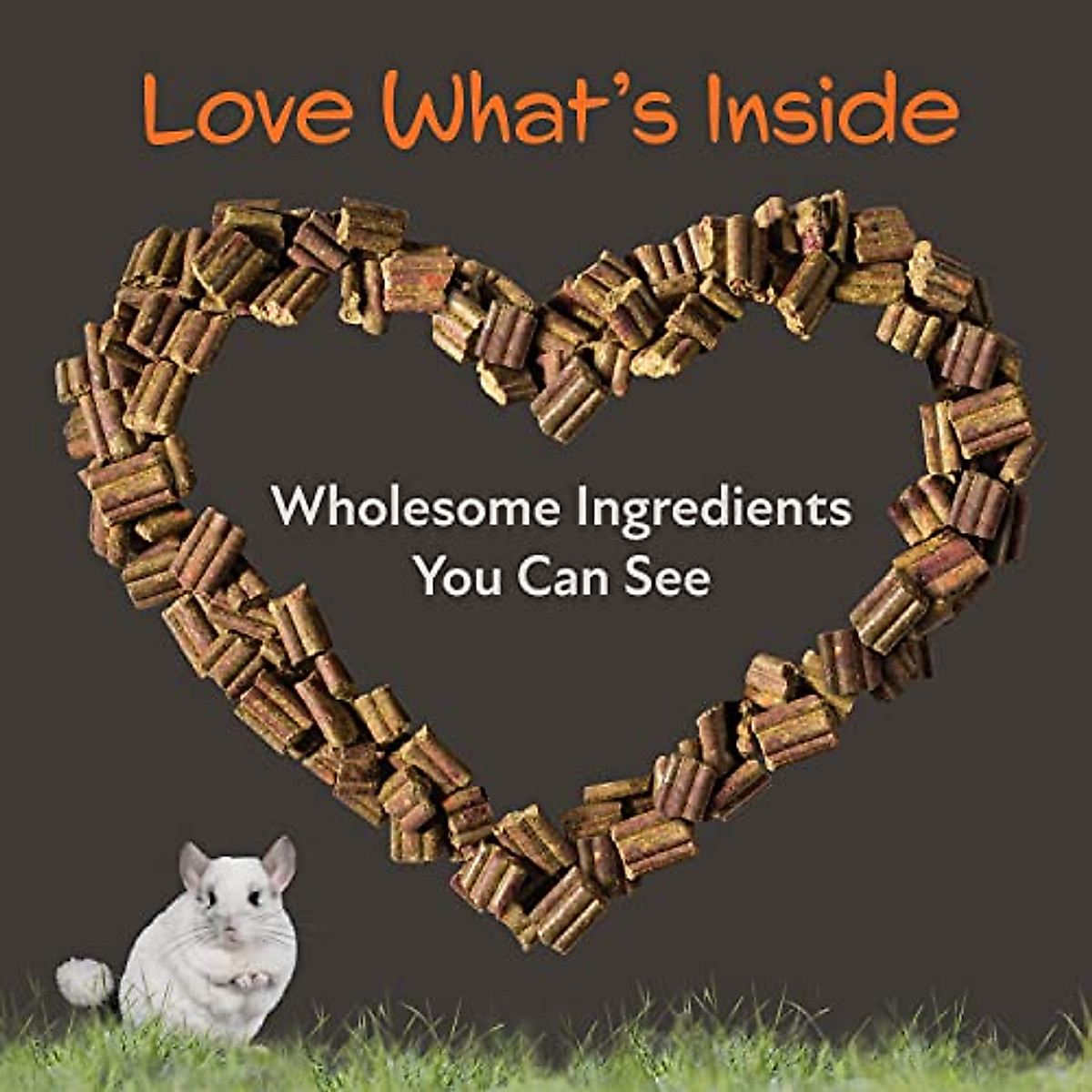 Kaytee Field+Forest Chinchilla Food 3 Pounds