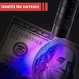 Honoson 6 Pieces UV Black Light Flashlight Small Blacklight Flashlights Pen Lights for Leak, Pet Urine, Hotel Inspection, Dry Stain and Dye Detector, 5.2 Inches Long