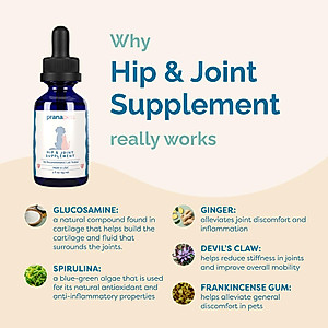 PranaPets Hip & Joint Supplement with Glucosamine for Dogs & Cats Naturally Relieves Mobility Issues | Safely Promotes Enhanced Mobility in Legs & HIPS | Helps Reduce Soreness & Back Pain