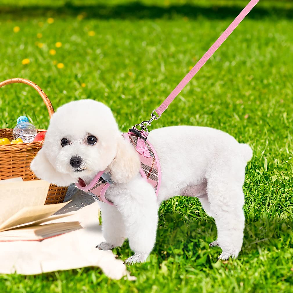 EXPAWLORER Classic Plaid Puppy Harness - Small Dog Harness and Leash Set - Dog Collar and Leash Set with AirTag Holder, Soft Padded Step in Dog Vest Harness No Pull Reflective for Outdoor, Pink S