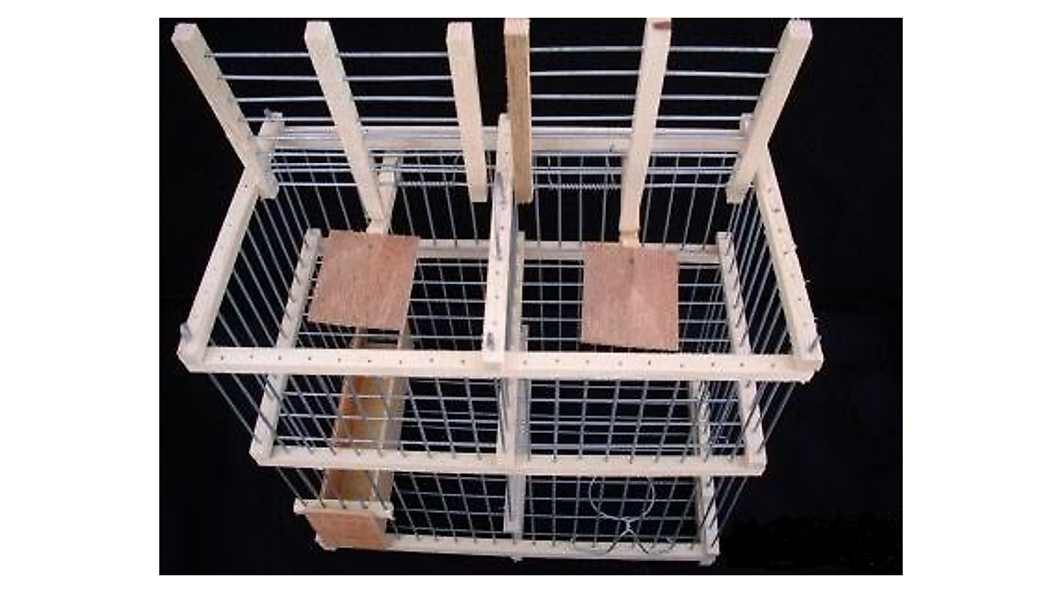 MetS Bird Cage Trap - Safe & Effective for Catching Birds