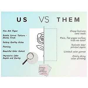 Black and White Wall Art - Flower Line Drawings - Botanical Prints - Abstract Pictures - Set of 4-11x14 - Unframed (11x14)