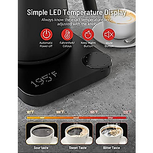 Paris Rhône Gooseneck Electric Kettle, Temperature Variable Electric Kettle for Coffee Tea Brewing, 0.9L Stainless Steel Tea Kettle, 1H Temperature Holding, Built-in Stopwatch for Gift