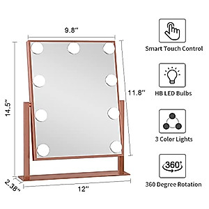 FENCHILIN Hollywood Mirror with Light Large Lighted Makeup Mirror Vanity Makeup Mirror Smart Touch Control 3Colors Dimable Light Detachable 10X Magnification 360°Rotation (Rose Gold)